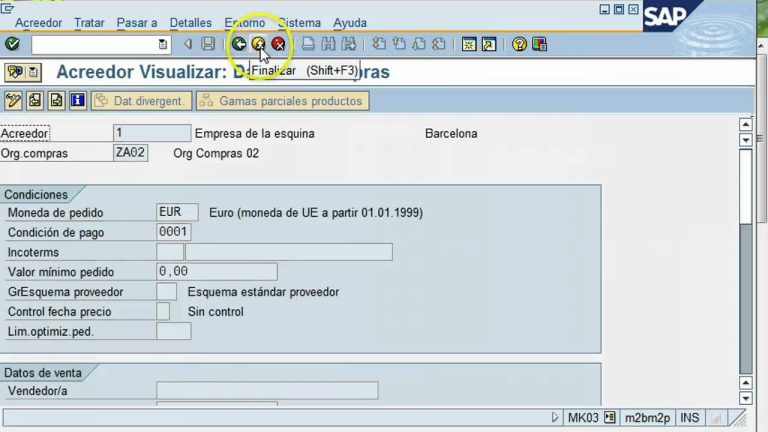 Que Es Una Transaccion En Sap - Experto Curso